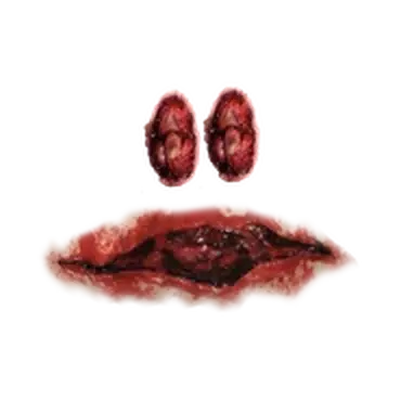 What is the best face for A-60? | Fandom