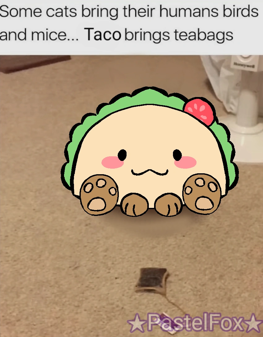 stream taco’s tirade | Fandom