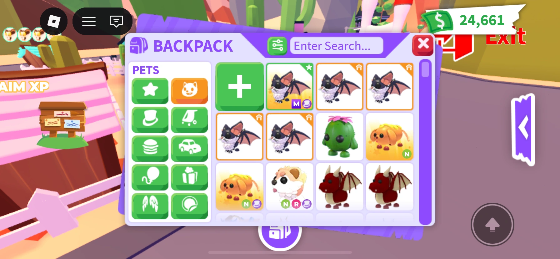 Lf pet certificate thing | Fandom