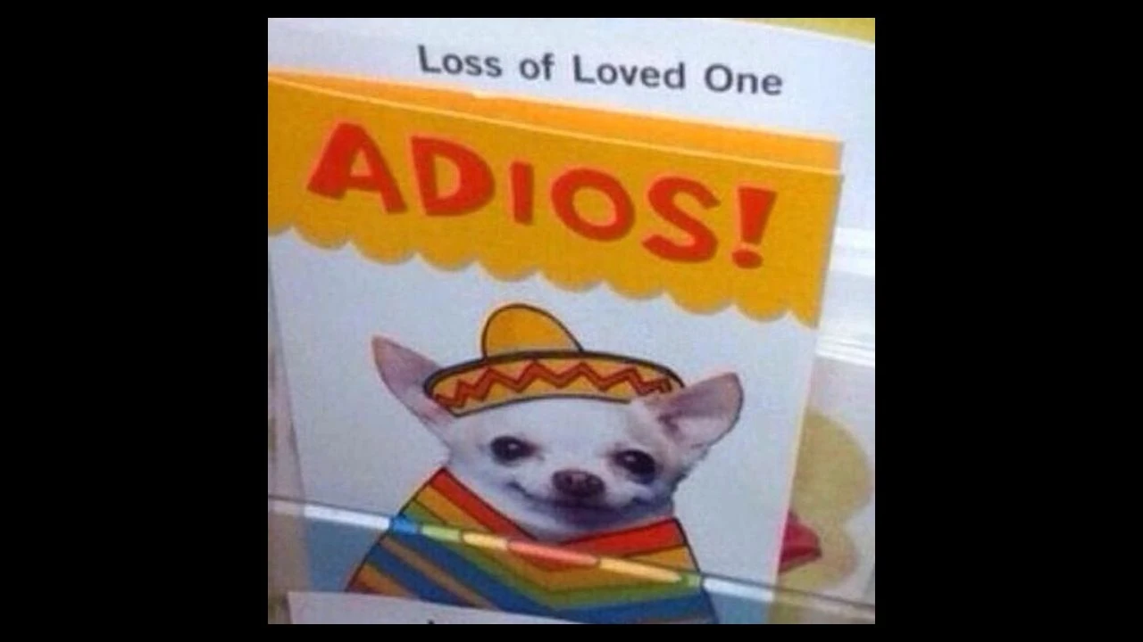 Adios glove original image | Fandom