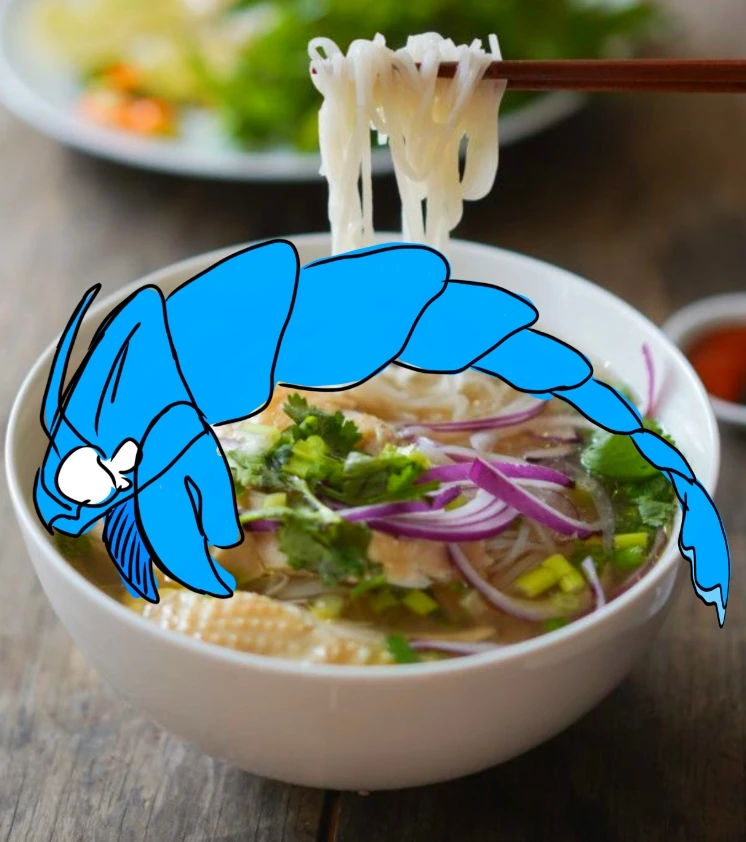 Vietnamese cuisine #2 | Fandom