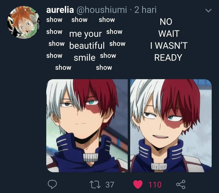 todoroki meme time | Fandom