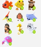 LF: NFR Kangaroo | Fandom