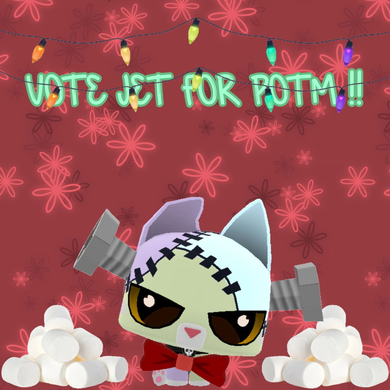 Jet for pet of the month? | Fandom