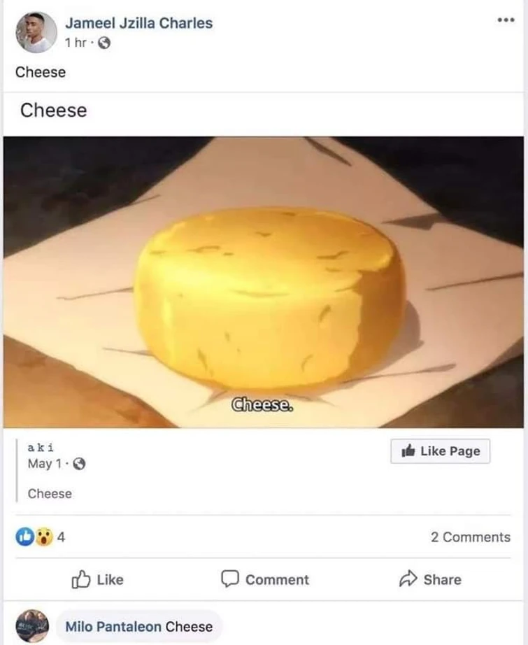 Cheese | Fandom