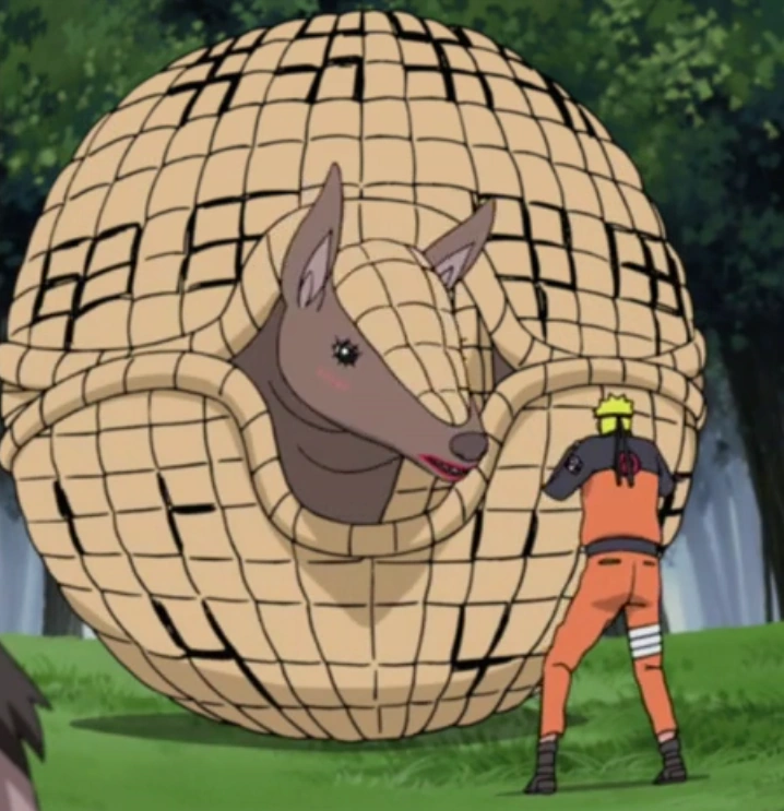 remember when this armadillo was pretending to be a girl even tho it ...