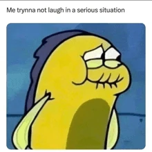 MEPAD DIED AND YOU THINK IT'S FUNNY | Fandom