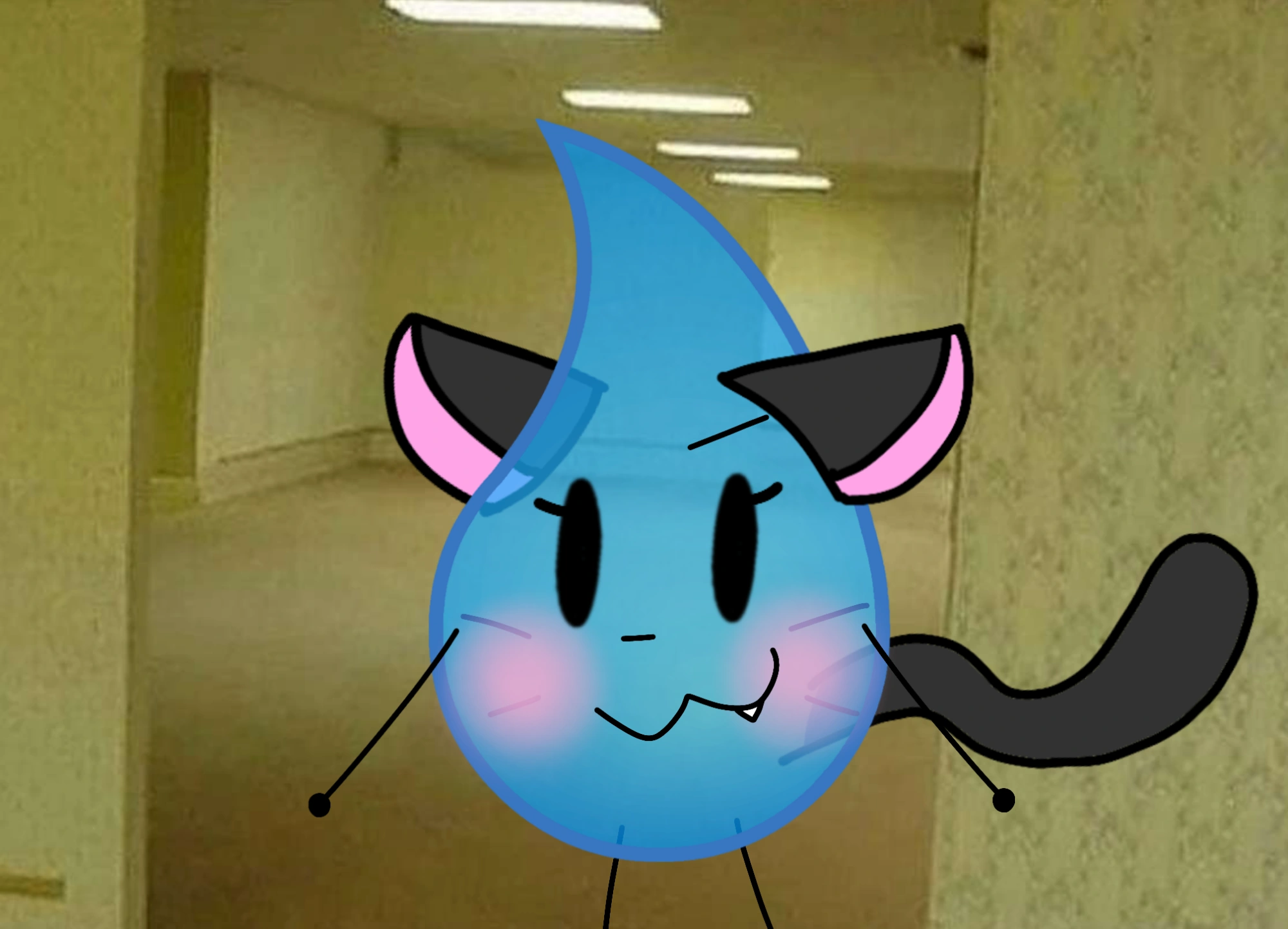 POV: uwu cute discord kitten uwu cute teardrop discord kitten has ...