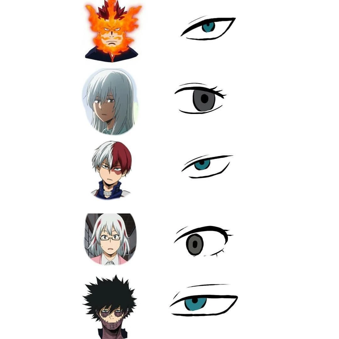 Todoroki family eyes | Fandom