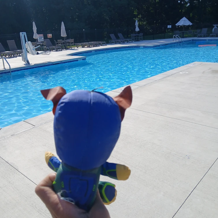 Chase at the Pool | Fandom