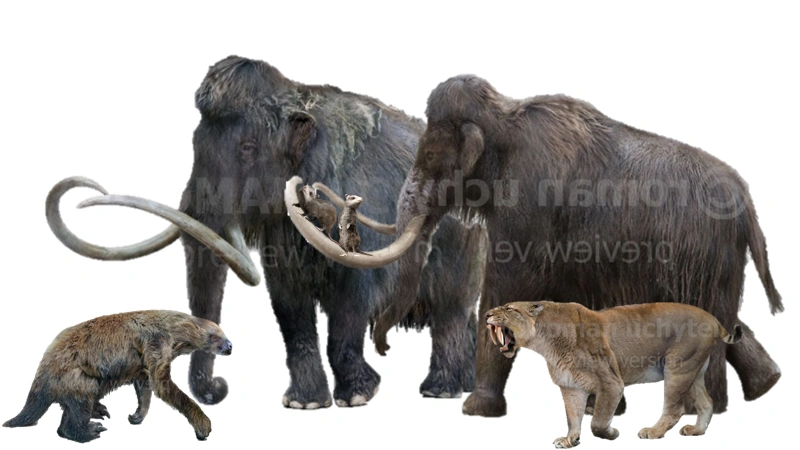 Ice Age Herd | Fandom