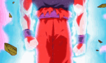 What form does Goku with a ripped off gi look the best in? (Part 3 ...