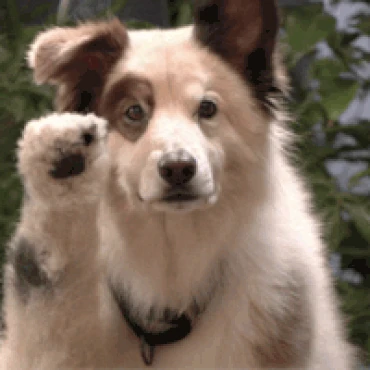 Best Disney Channel Show (3#) | Fandom