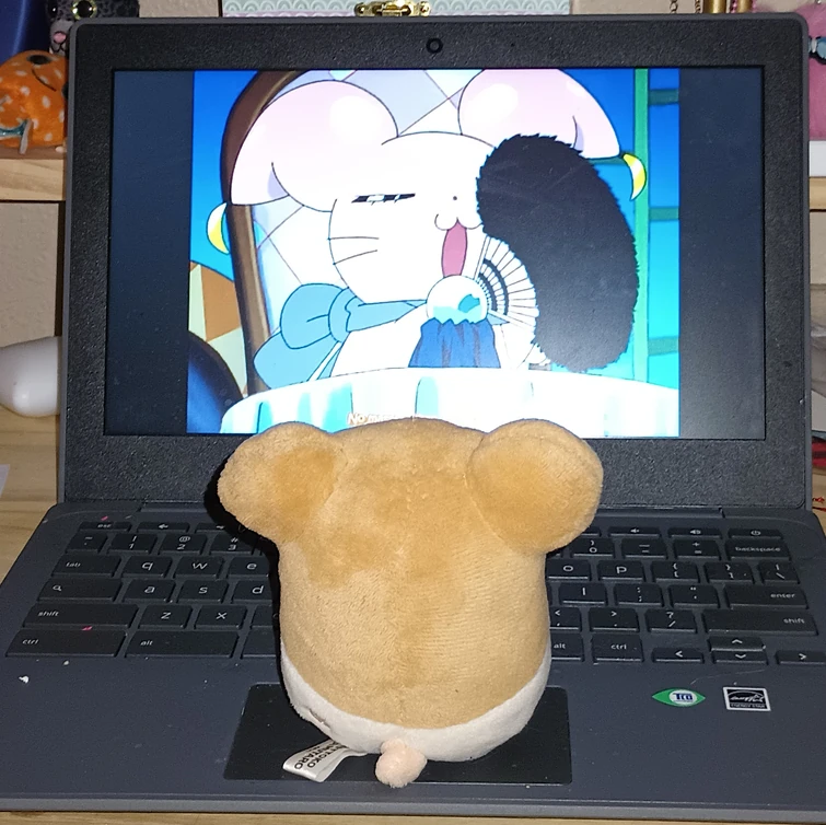 Discuss Everything About The Hamtaro Wiki | Fandom