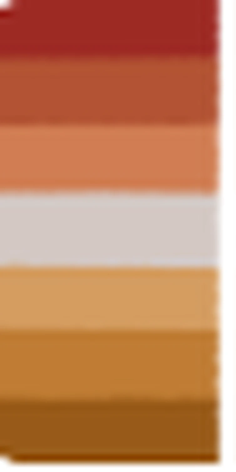 what are these flags? | Fandom