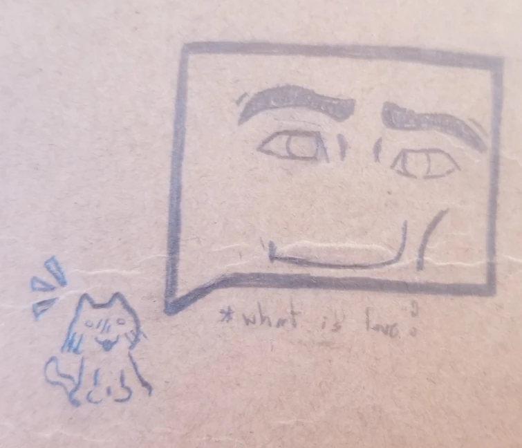 Beautiful image of a cat | Fandom