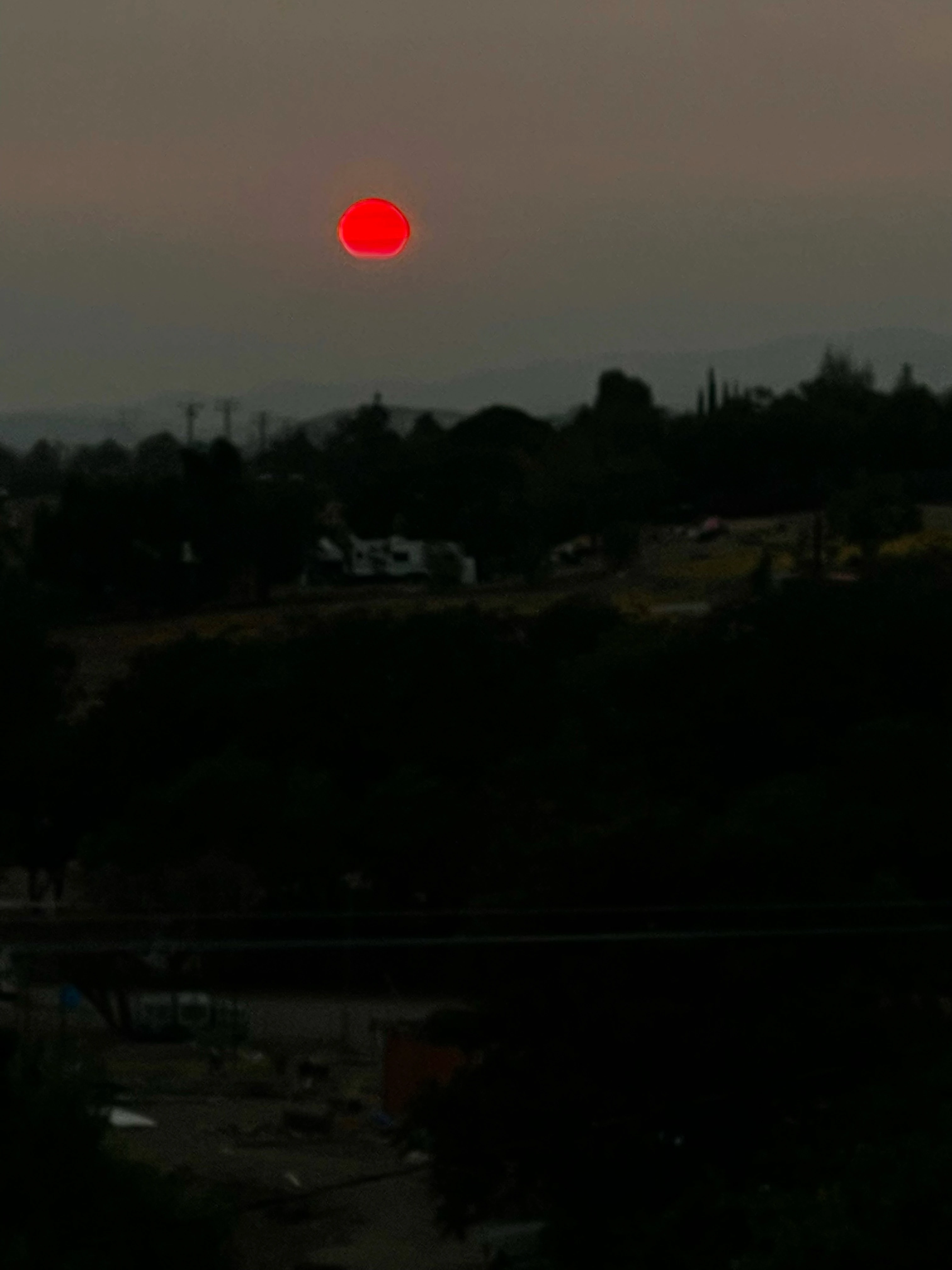AMPHIBIA’S MOON SIGHTING NEAR ME | Fandom