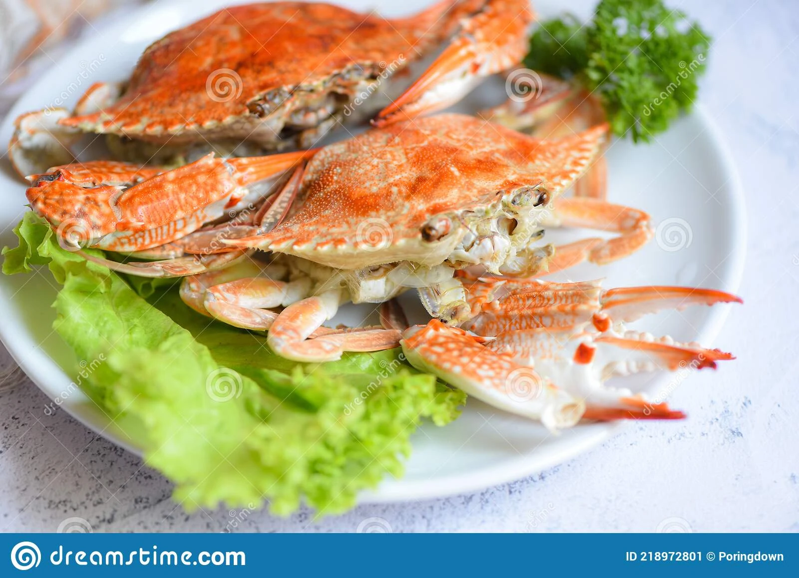 Historia de Fievel Ratonovich 😃🐭 🍳 | Fandom