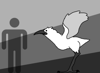 HOW 2 MAKE A COS DESIGN - PART TWO: TIER ONE FLIERS | Fandom