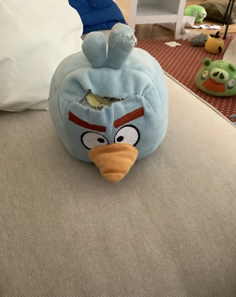 Discuss Everything About Angry Birds Plush Wiki | Fandom
