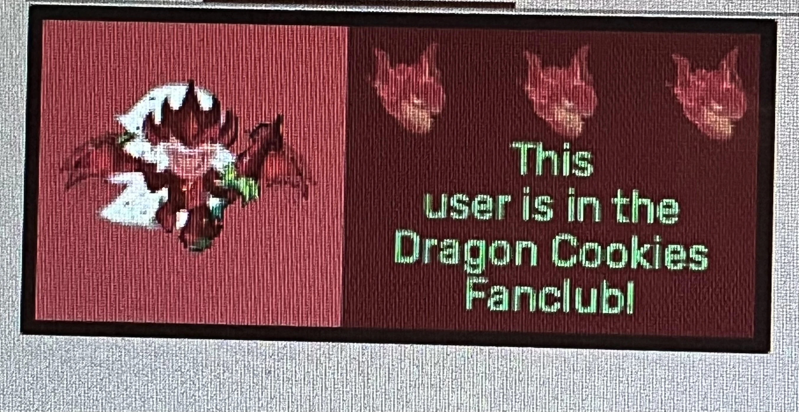 Dragon Cookies Fanclub meeting 1 | Fandom