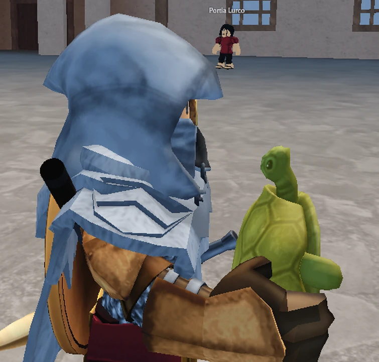 cool turtle | Fandom