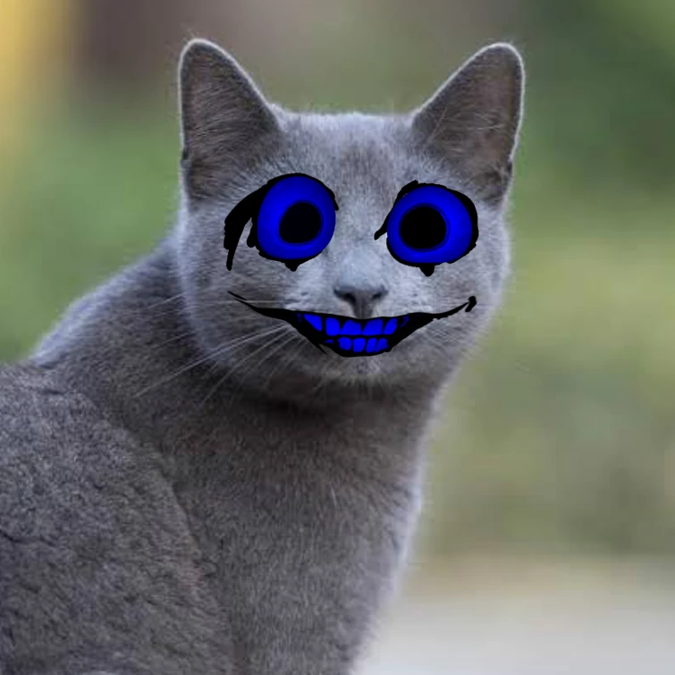 i have officially turned into a cat | Fandom