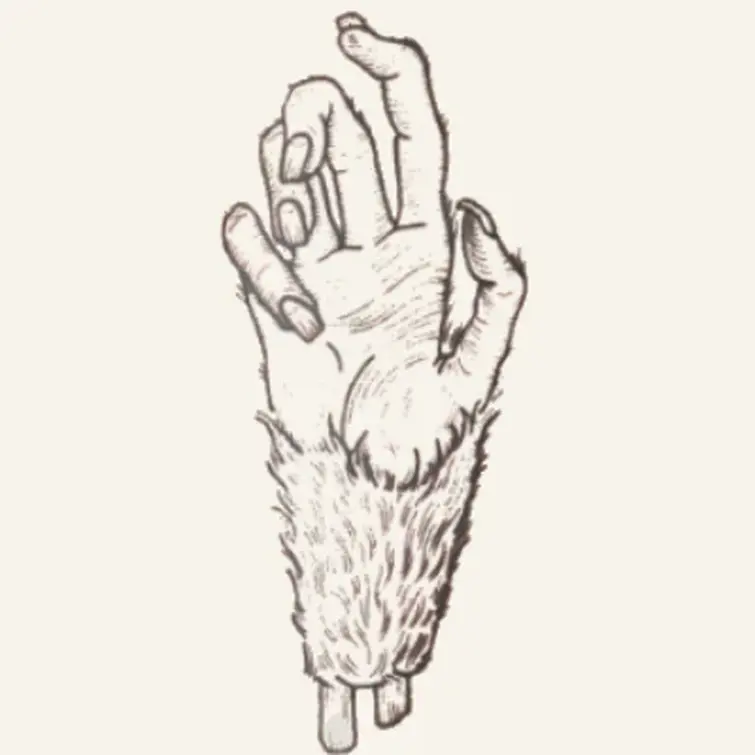 The Monkey paw | Fandom