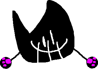 loii | Fandom