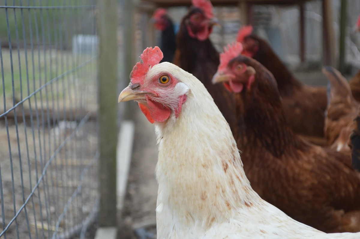 Episode 28 - D&D MONSTER MADNESS | 8 Bit Book Club Wiki | Fandom