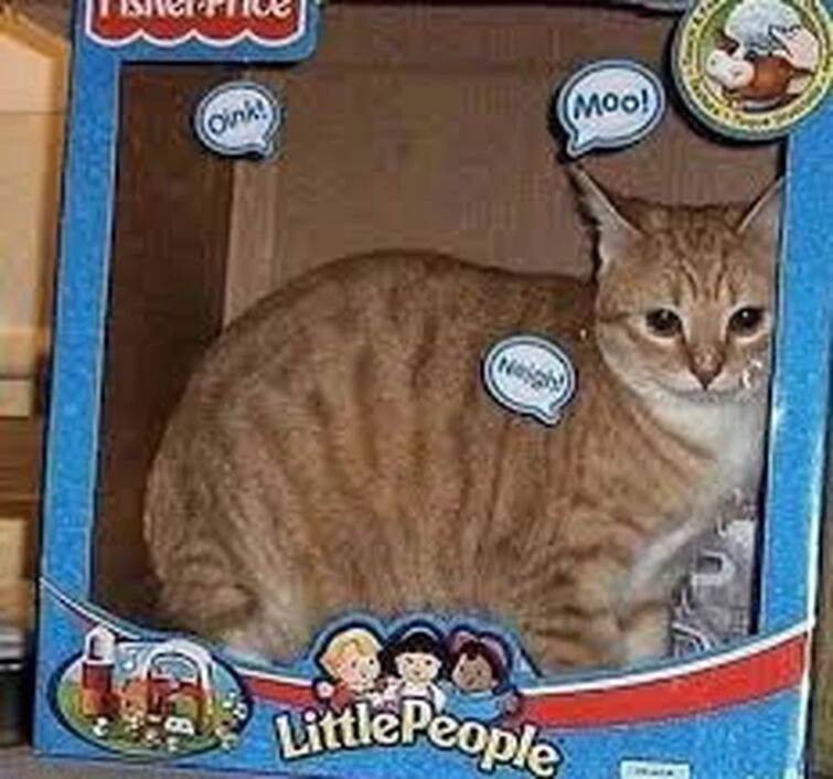 urban spook be like | Fandom