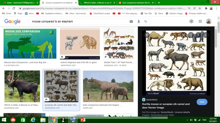 guys moose are the size of elephants | Fandom