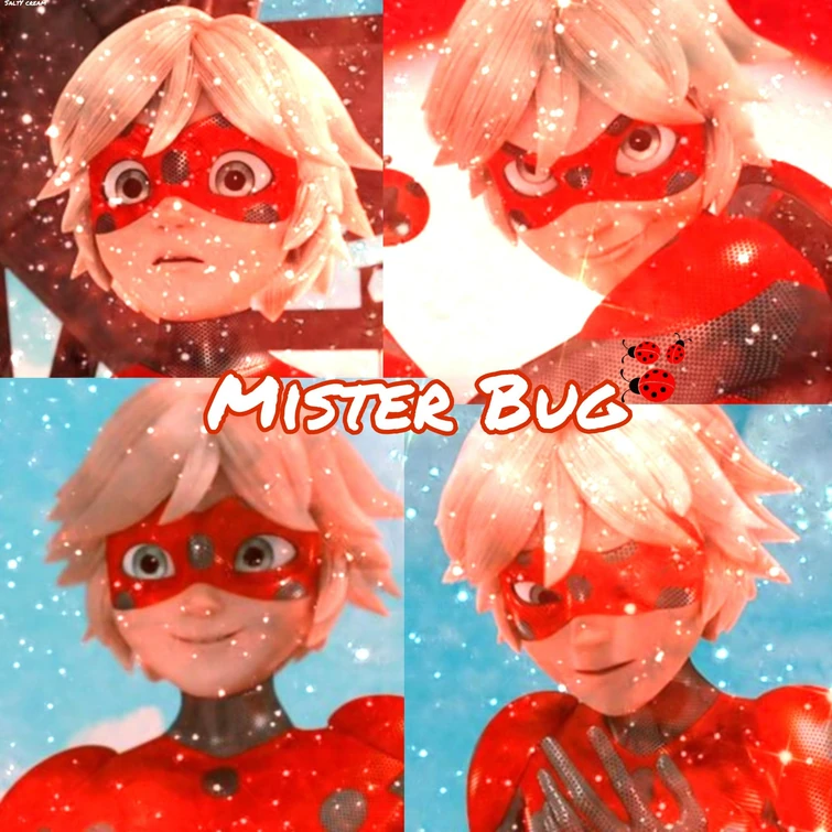 Mister Bug | Fandom