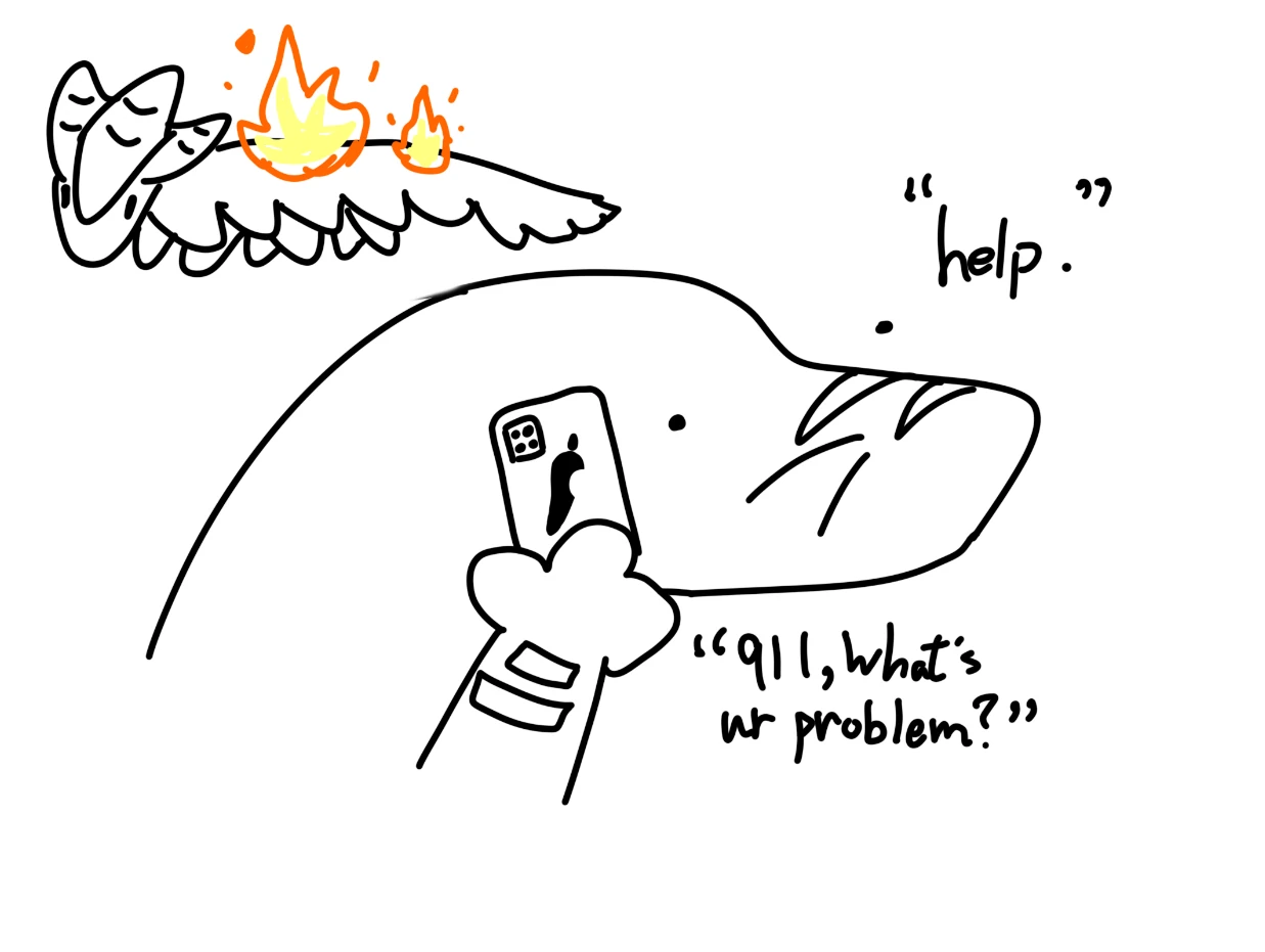 Failed cooking | Fandom