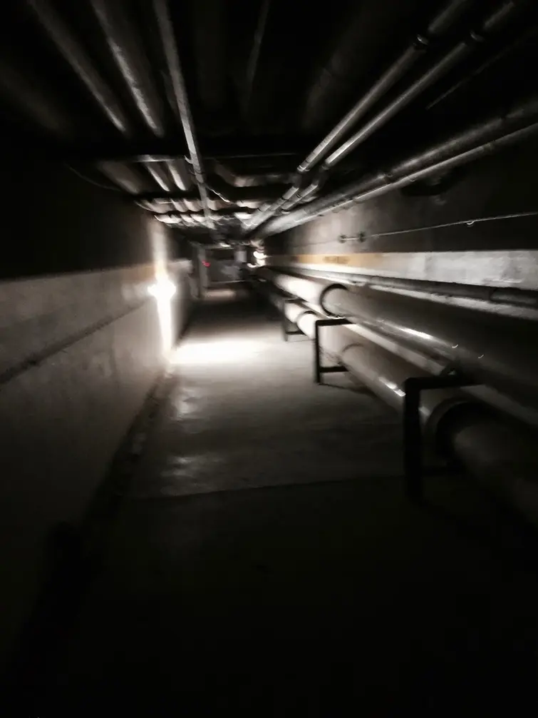 Level 2 Original Images | Fandom