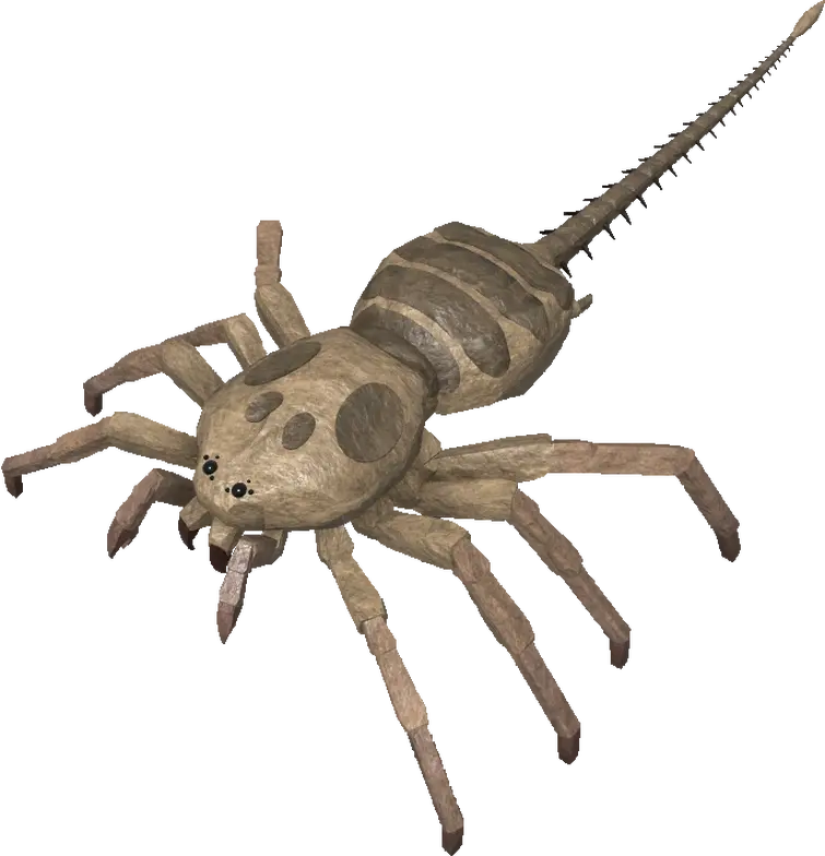 would yall want more Spider-like creatures? like viracnair | Fandom
