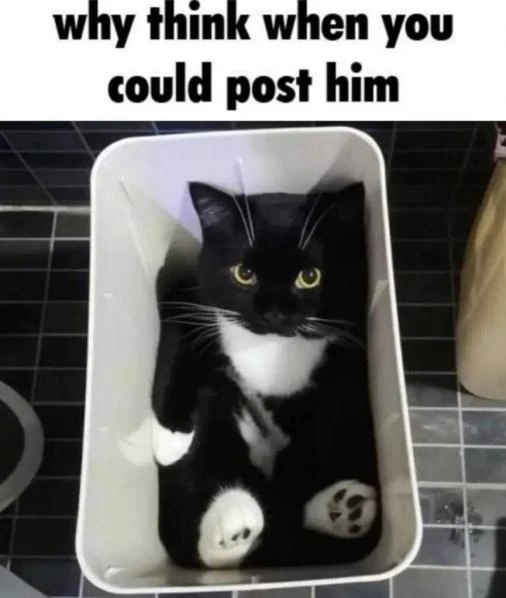 why think when you could post him | Fandom