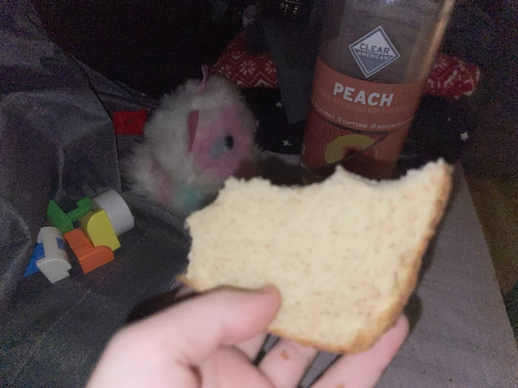 brad the bread | Fandom