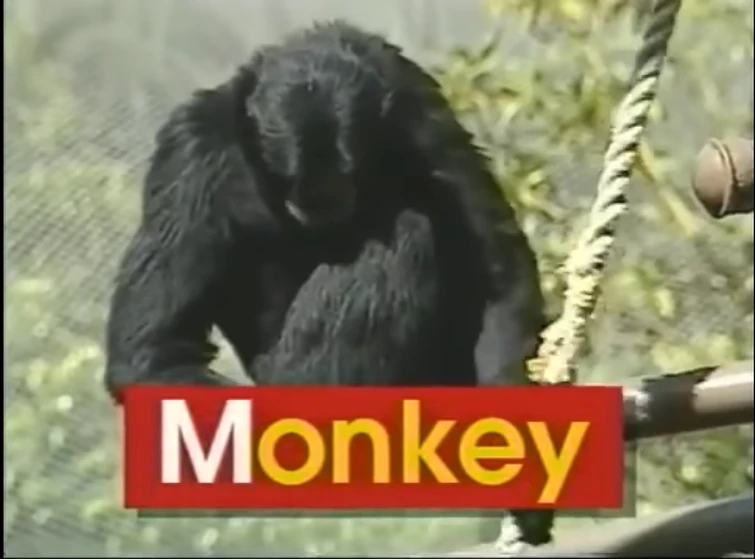 The Alphabet Zoo Video | Fandom