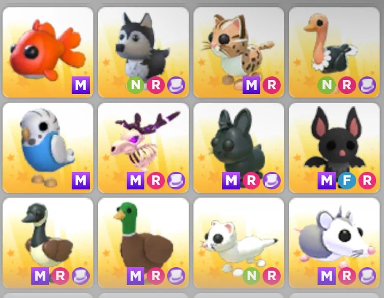 Discuss Everything About Adopt Me! Wiki | Fandom