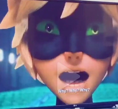 Chat Noirs Cataclysm | Fandom