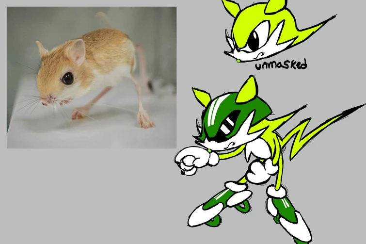 All posts by SonicdashPlayzTheSecond | Fandom