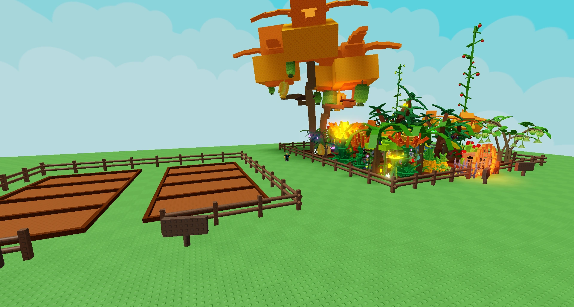 does anyone also have these big feijoa trees | Fandom