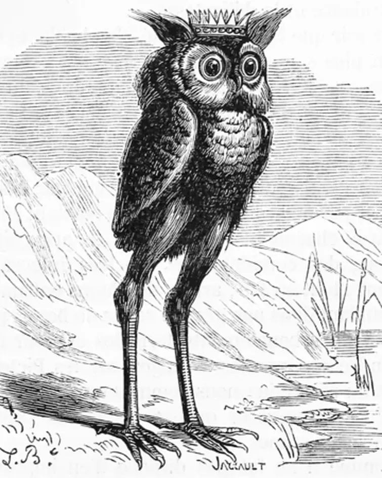 make a stolas themed boreal | Fandom