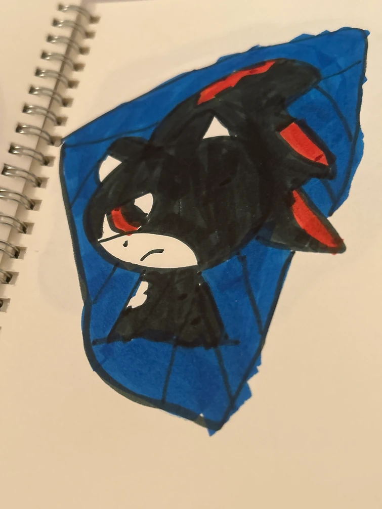 Shadow in a blue chaos emerald | Fandom