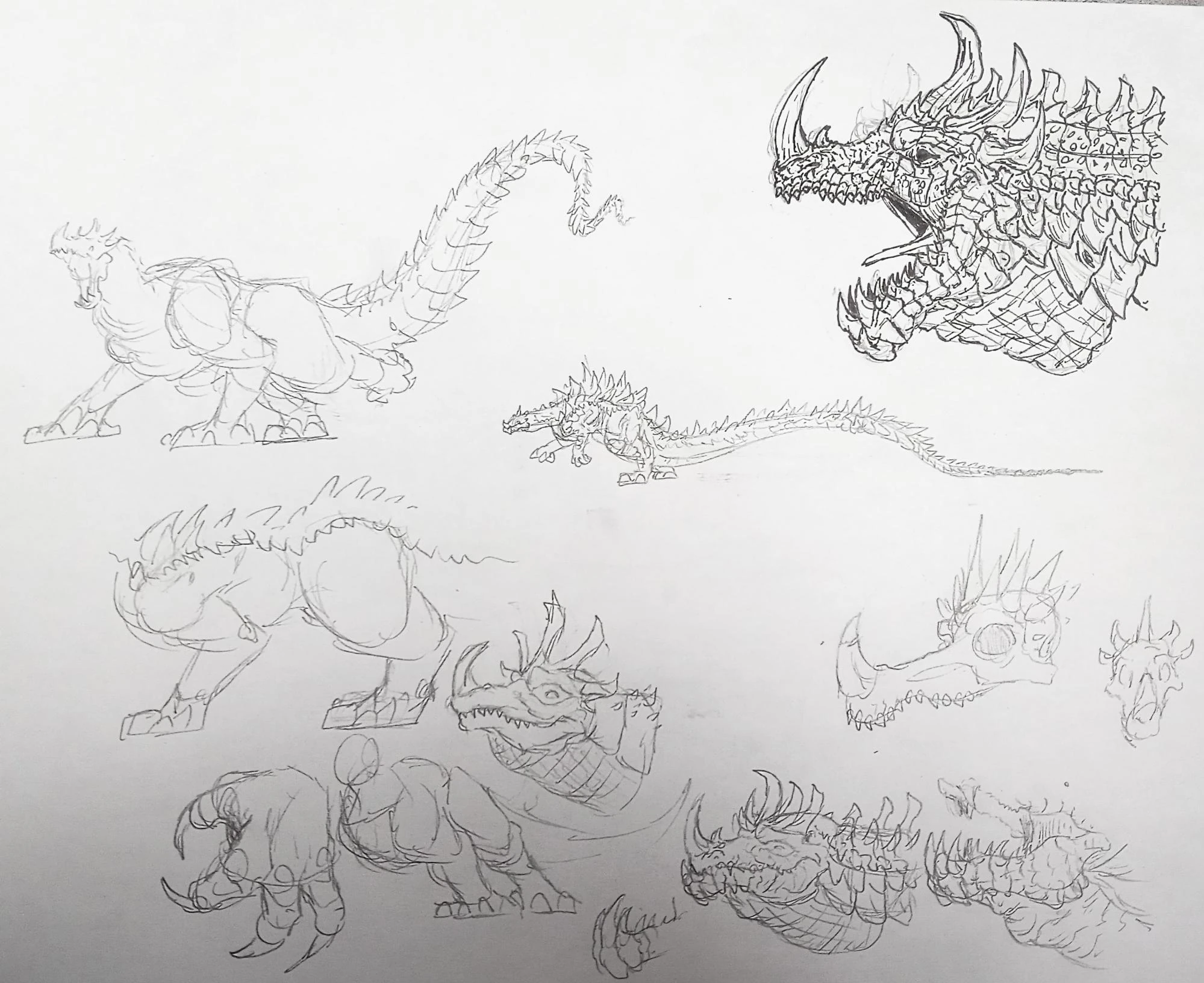 Anguirus Redesign W.I.P. (Part 1) | Fandom