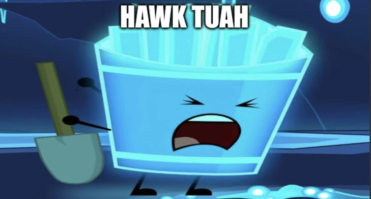 BFDIA 16 MAKES HAWK TUAH REFERENCE NOT CLICKBAIT | Fandom