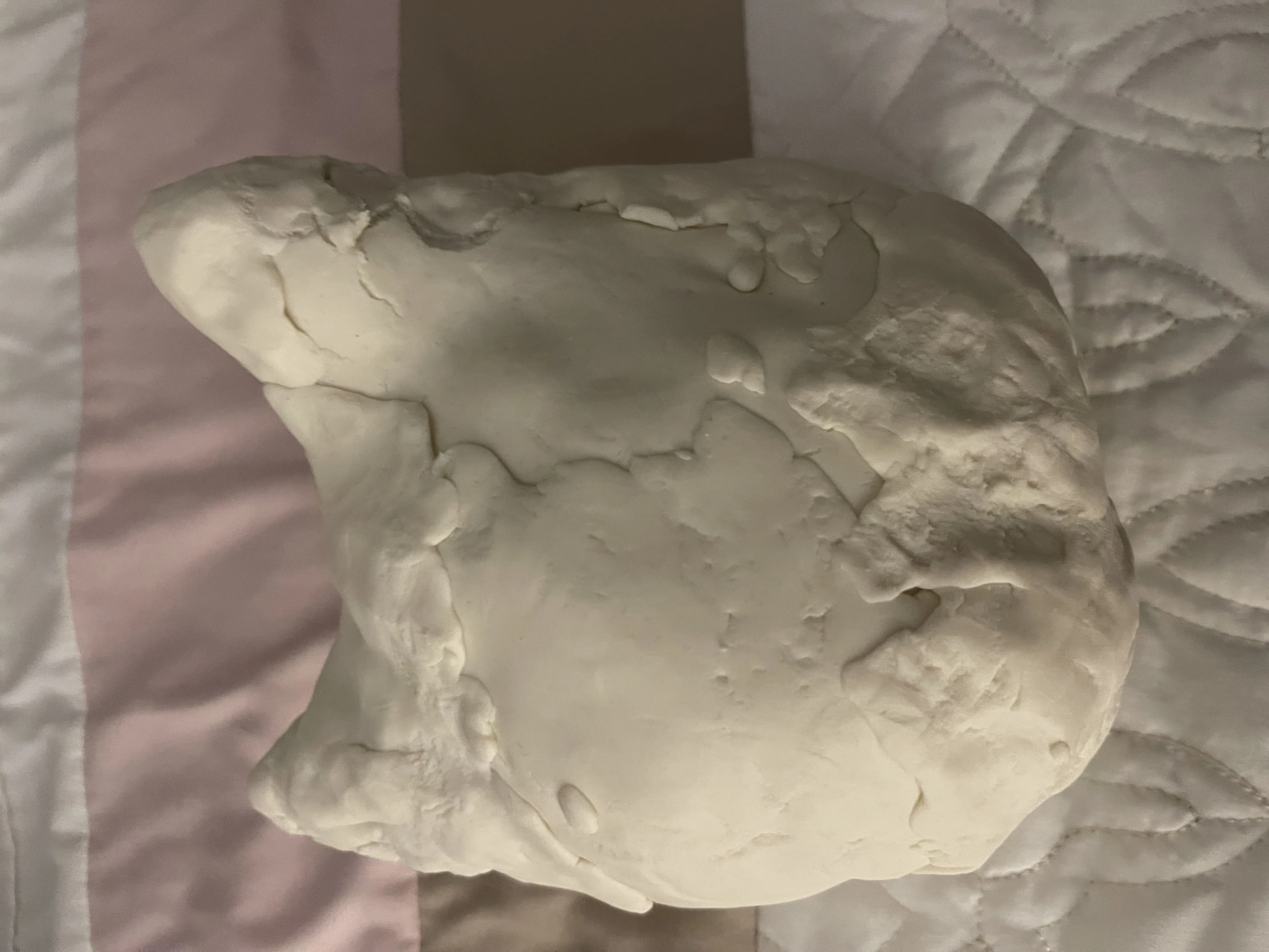 I finished with the clay! | Fandom