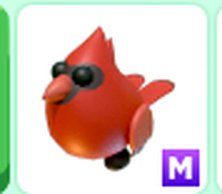 Double mega post again 😱 mega red cardinal+ maleo bird finished! | Fandom