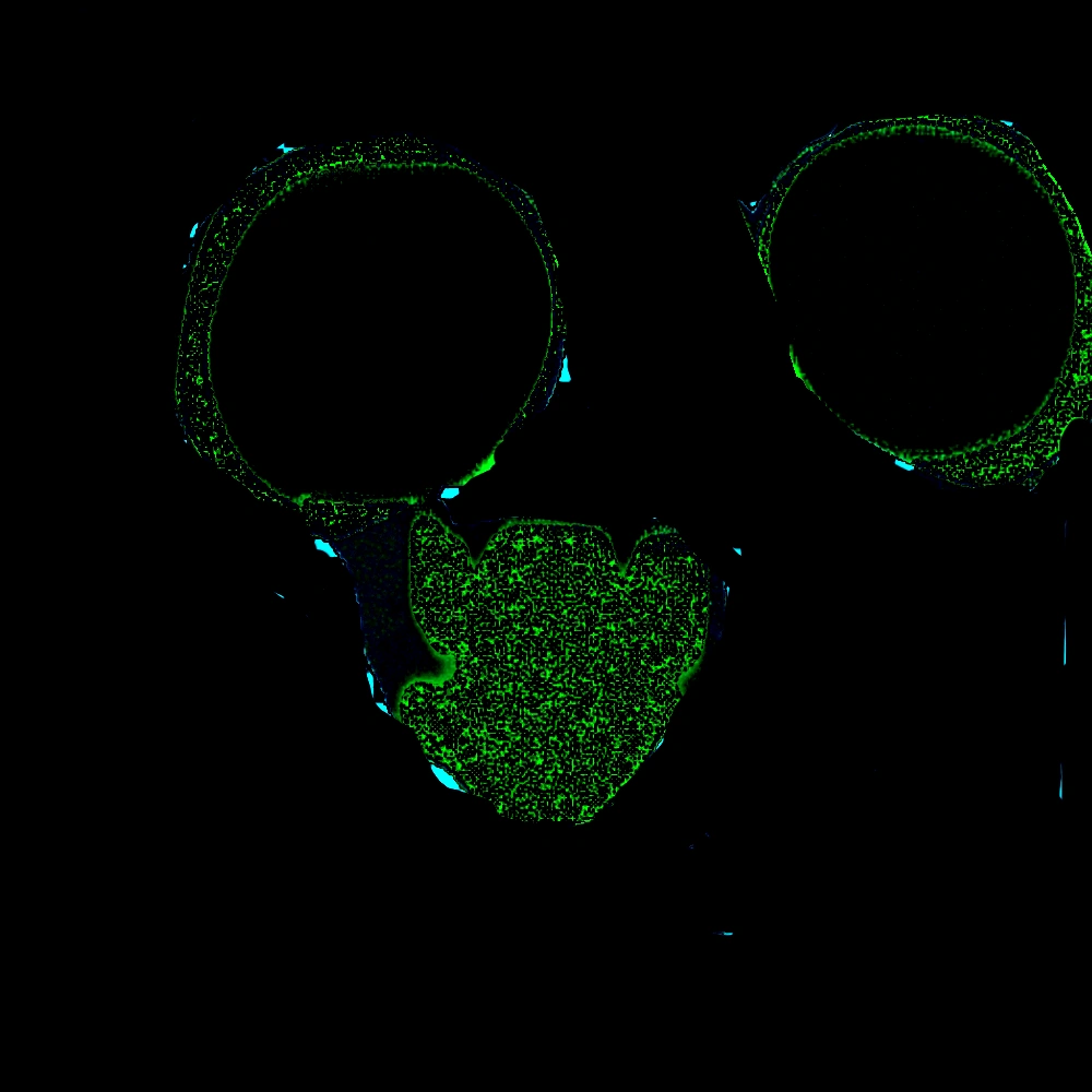 Baby entities pixellated, distorted, and normal | Fandom